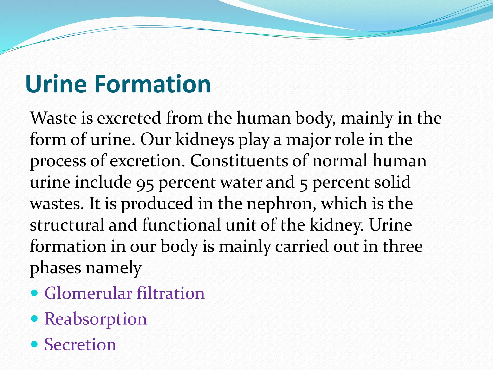 Urine-formation-ppt.pptx A powerpoint on the mechanism of urine production | PPTX
