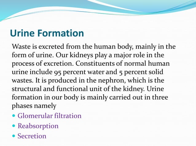 Urine-formation-ppt.pptx A powerpoint on the mechanism of urine ...