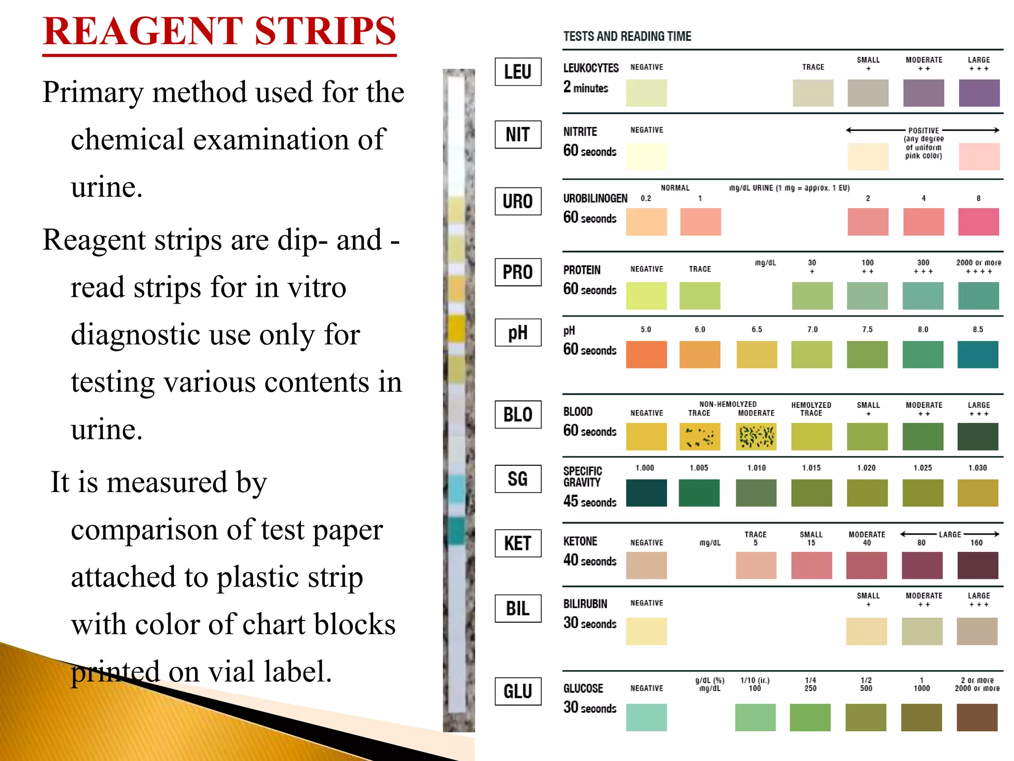Urine -Physical and Chemical Examination and Reagent Strips | PPTX