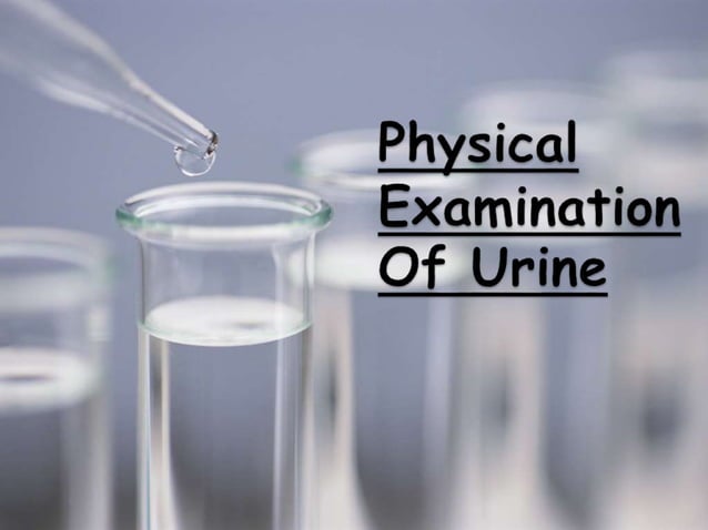 Urine -Physical and Chemical Examination and Reagent Strips | PPTX