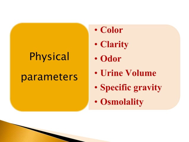 Urine -Physical and Chemical Examination and Reagent Strips | PPTX