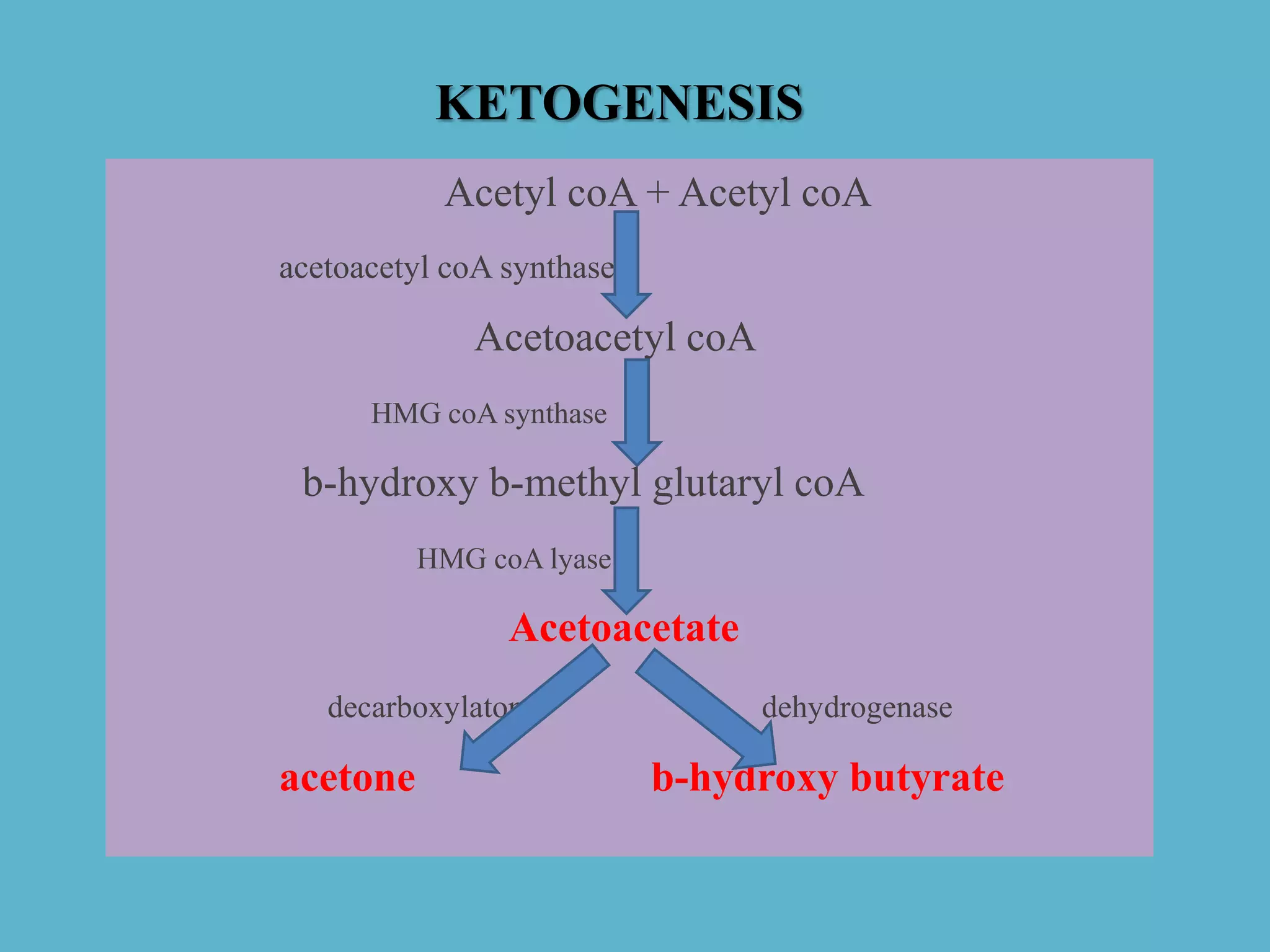 Urine acetone | PPTX