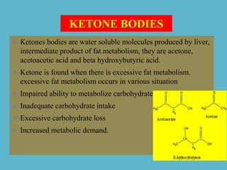 Urine acetone | PPTX