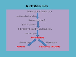 Urine acetone | PPTX