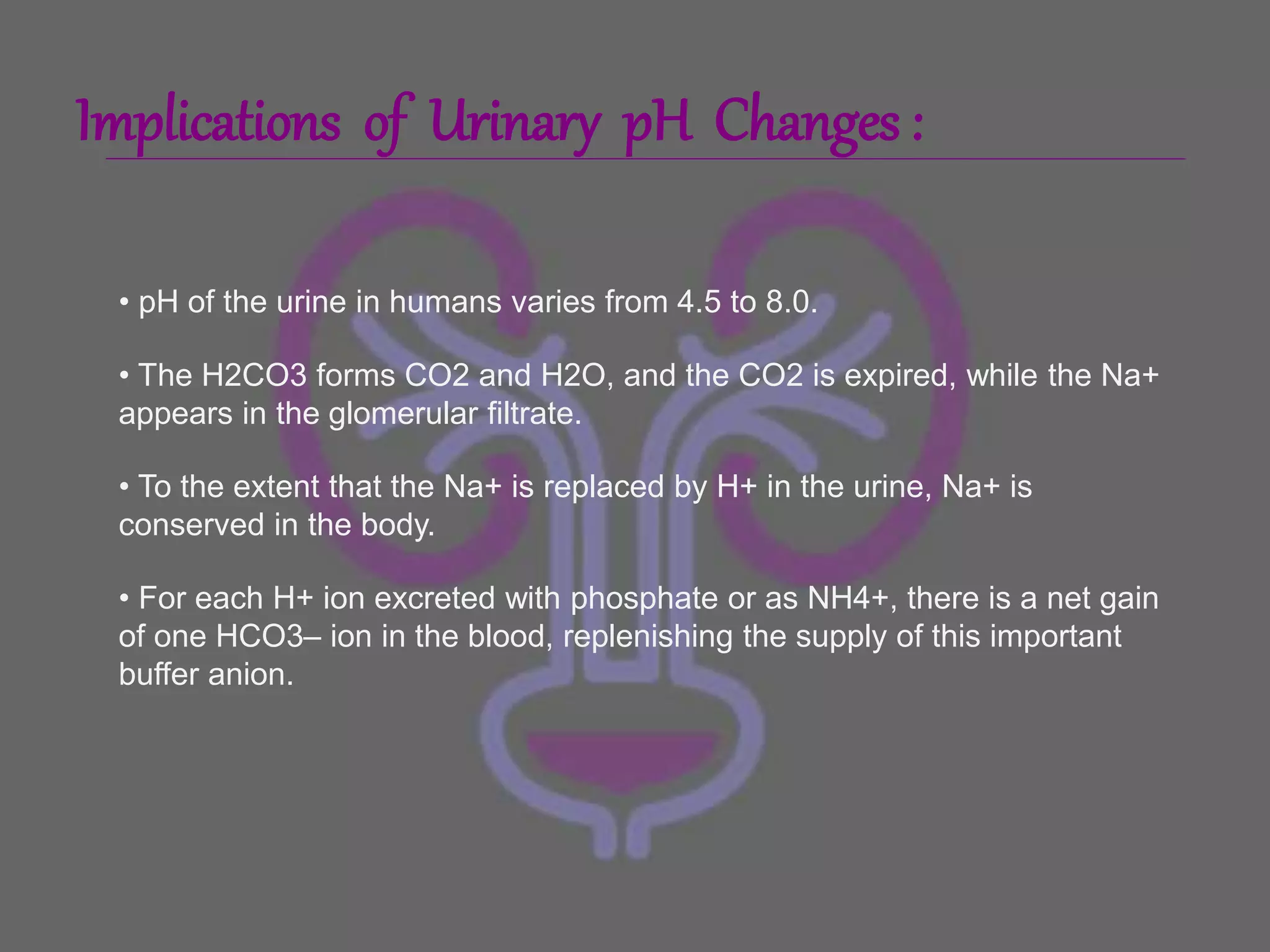 Urine acidification and it's importance | PPTX