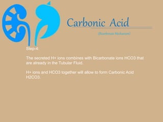 Urine acidification and it's importance | PPTX