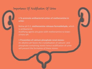 Urine acidification and it's importance | PPTX