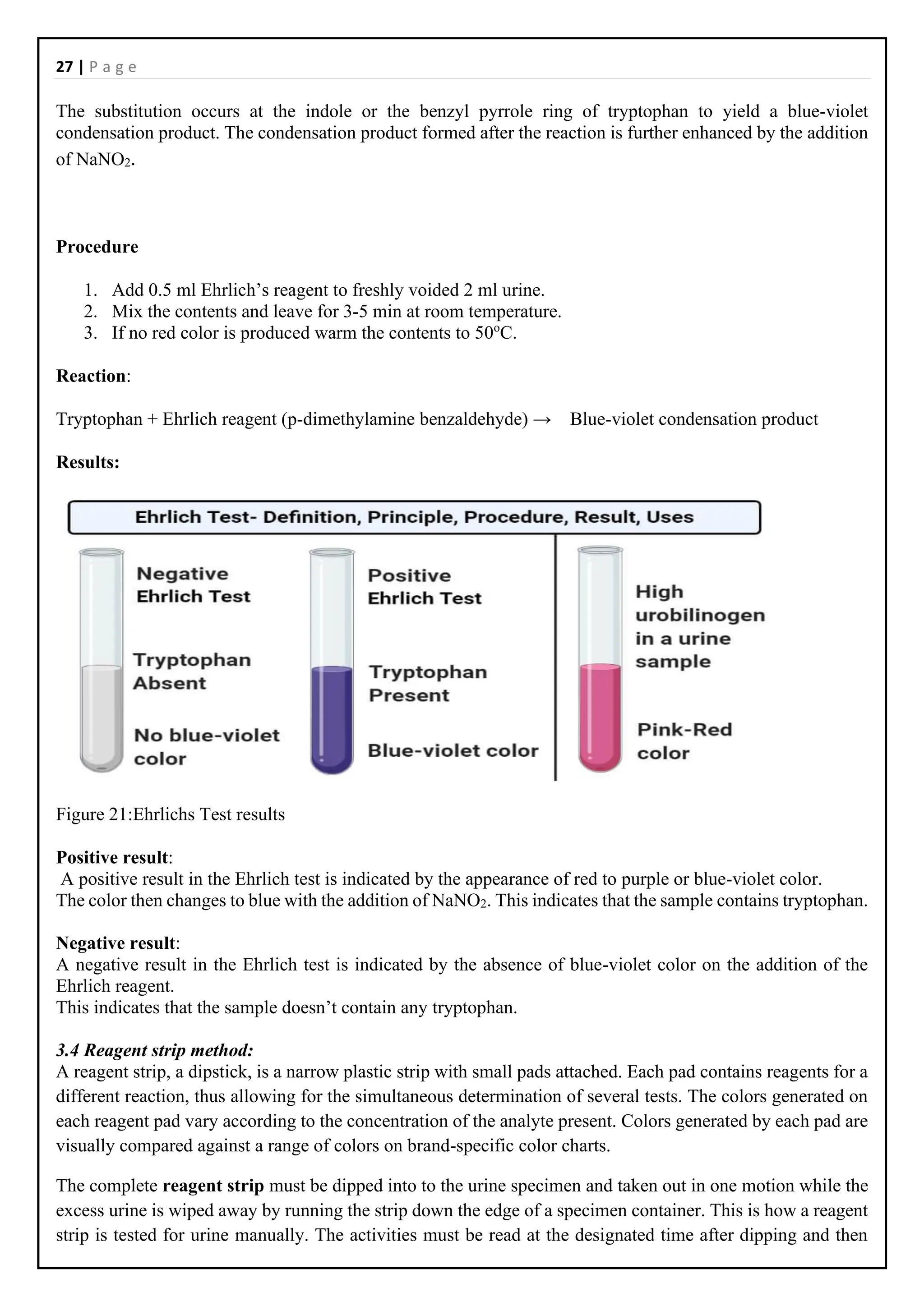 Urine Analysics Full Report -8371-M.Saihetharan.pdf