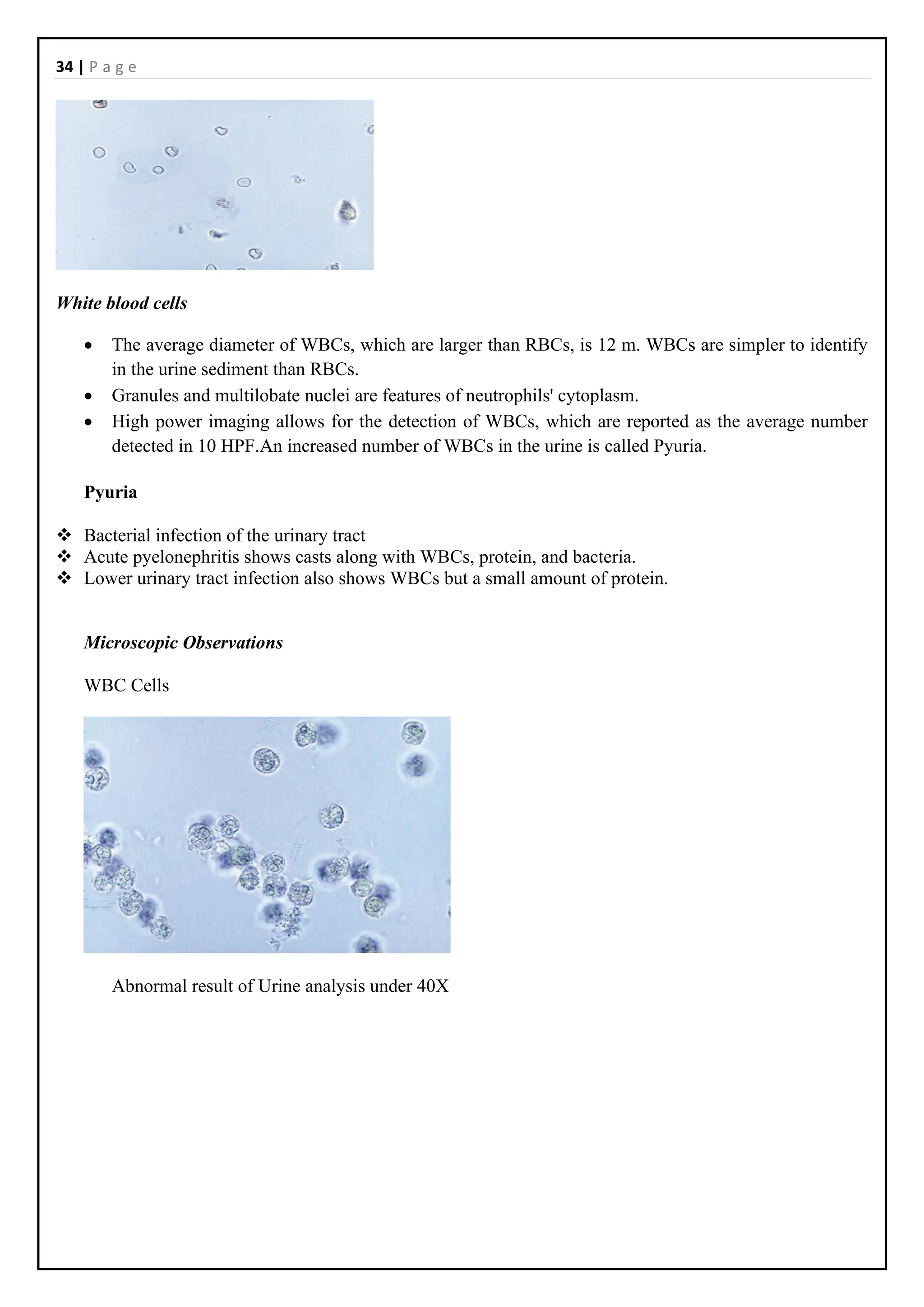 Urine Analysics Full Report -8371-M.Saihetharan.pdf