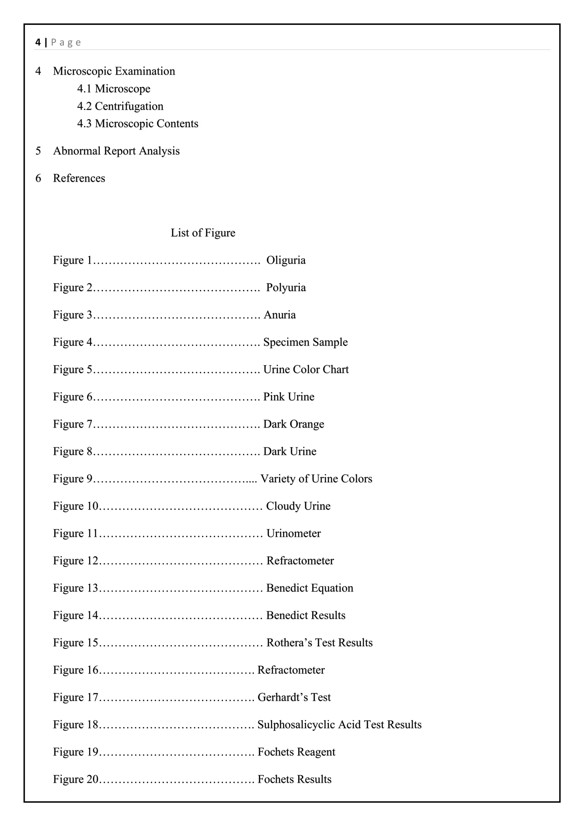 Urine Analysics Full Report -8371-M.Saihetharan.pdf