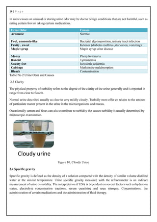 Urine Analysics Full Report -8371-M.Saihetharan.pdf