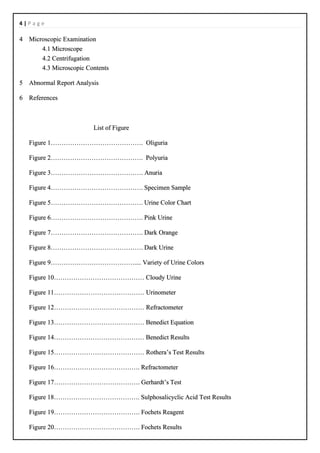 Urine Analysics Full Report -8371-M.Saihetharan.pdf