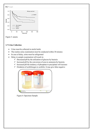 Urine Analysics Full Report -8371-M.Saihetharan.pdf