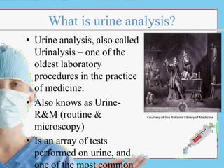 urineanalysis-130812011724-phpapp02.pptx