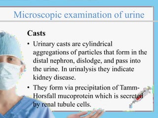 urineanalysis-130812011724-phpapp02.pptx