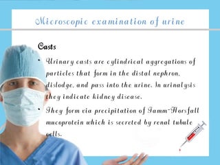 urine analysis-13526382137564.pdf full notes | PDF