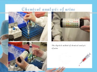 urine analysis-13526382137564.pdf full notes | PDF
