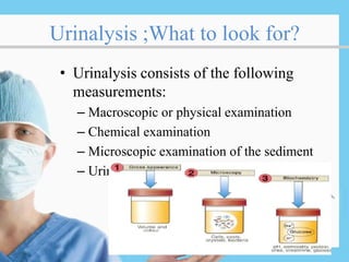 Urine analysis | PPTX