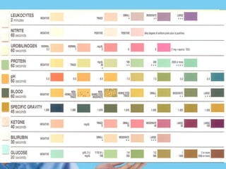Color Chart For Urine Dip
