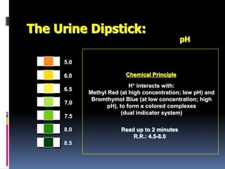 Urine analysis in pathology clinical | PPTX