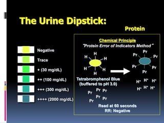 Urine analysis in pathology clinical | PPTX