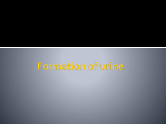 Urine analysis Part1 | PPTX