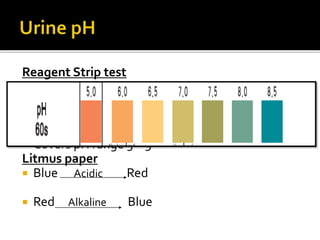 Urine analysis Part1 | PPTX