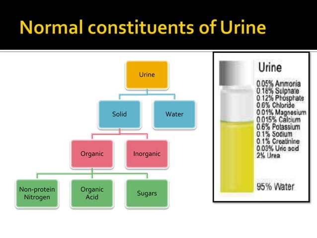 Urine analysis Part1 | PPTX