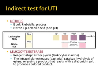 Urine analysis Part1 | PPTX