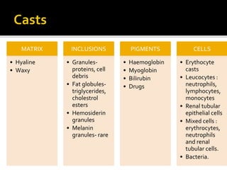 Urine analysis Part1 | PPTX