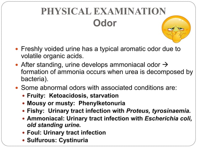 Urine analysis | PPTX | Blood Disorders | Diseases and Conditions