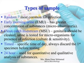 Urine Analysis.pptx