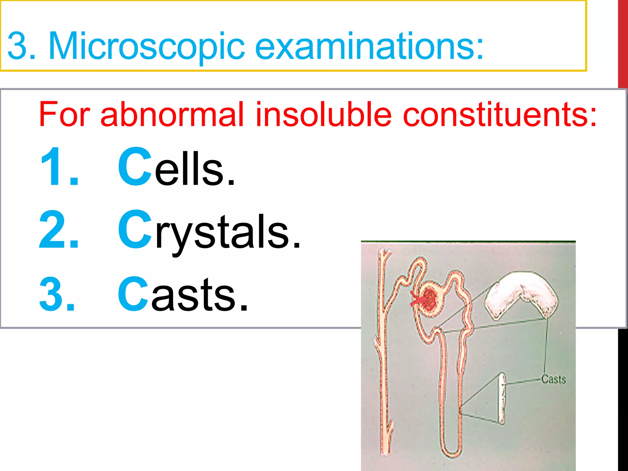 Urine analysis.pdf
