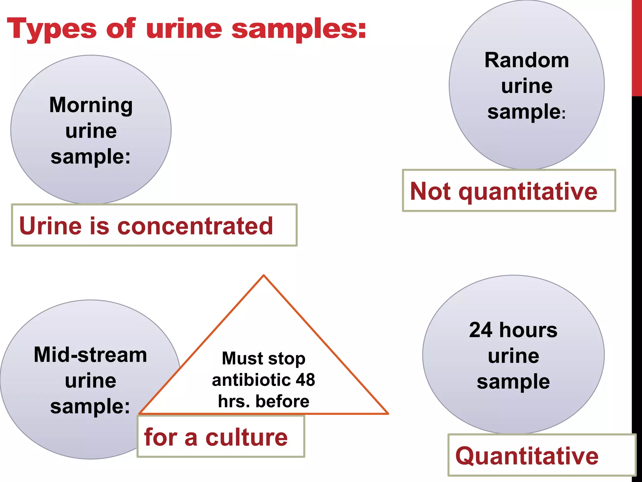 Urine analysis.pdf