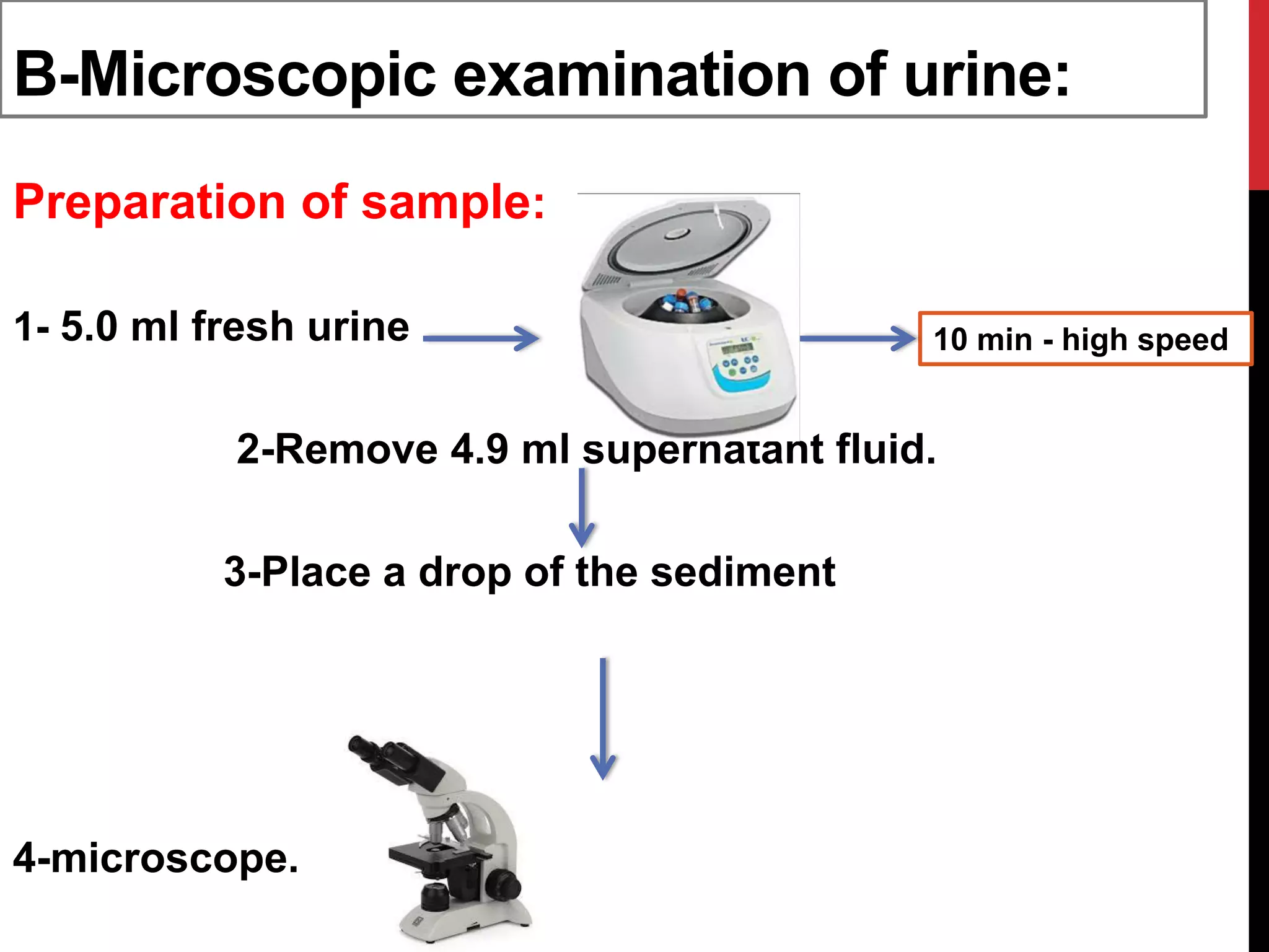 Urine analysis.pdf