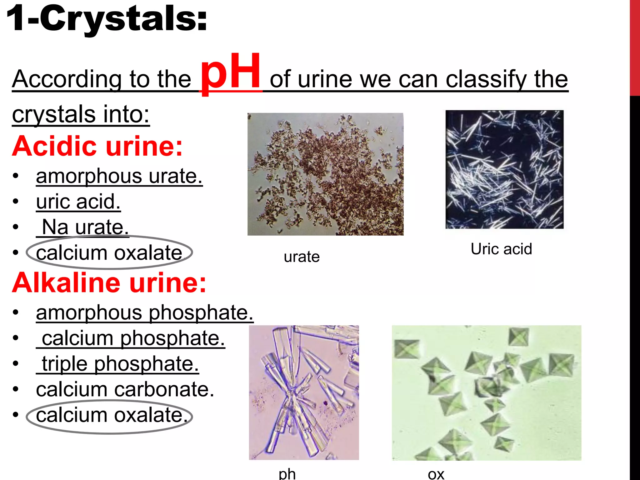 Urine analysis.pdf