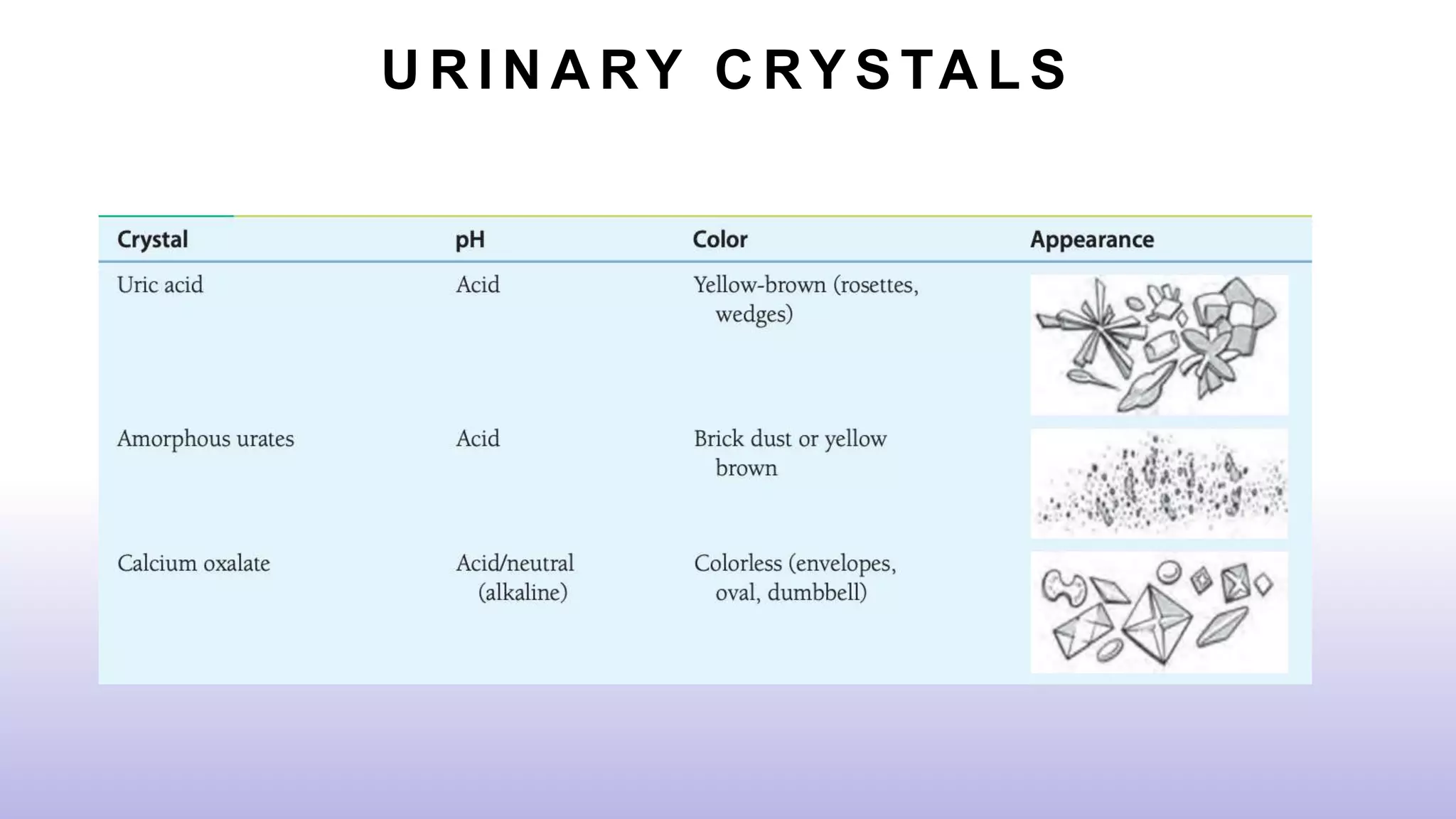 Urine analysis.pptx