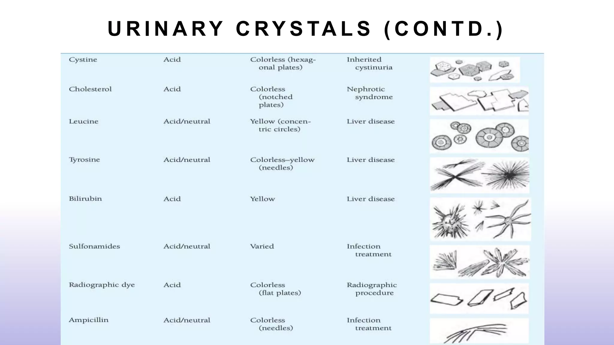 Urine analysis.pptx