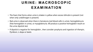 Urine analysis.pptx