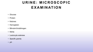 Urine analysis.pptx