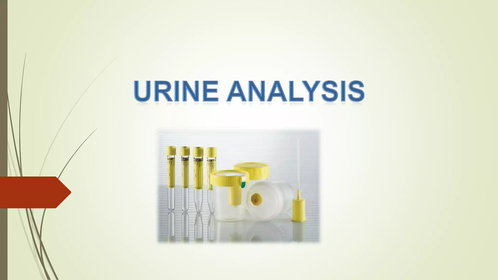 urine analysis.pptx