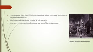 urine analysis.pptx