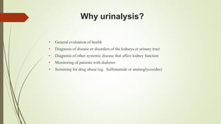 urine analysis.pptx