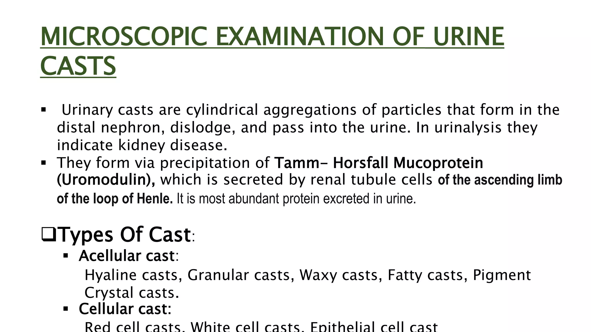 Urine Analysis and Urine Culture.pptx
