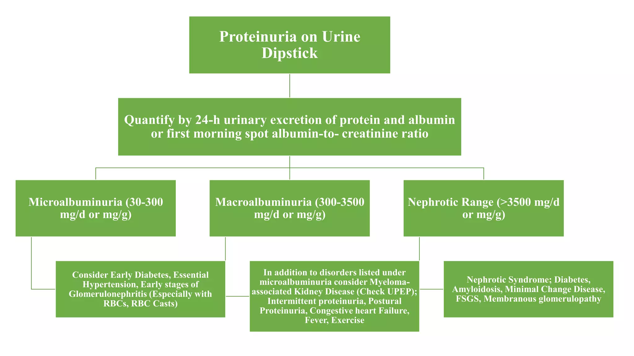 Urine Analysis and Urine Culture.pptx