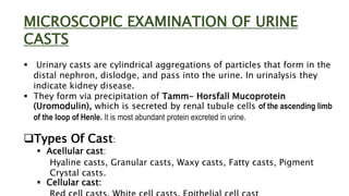 Urine Analysis and Urine Culture.pptx