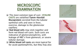 Urine Analysis and Urine Culture.pptx