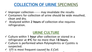 Urine Analysis and Urine Culture.pptx