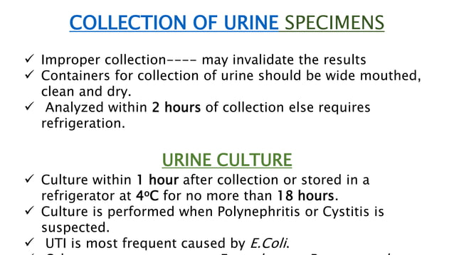 Urine Analysis and Urine Culture.pptx | Blood Disorders | Diseases and ...