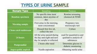 Urine Analysis and Urine Culture.pptx